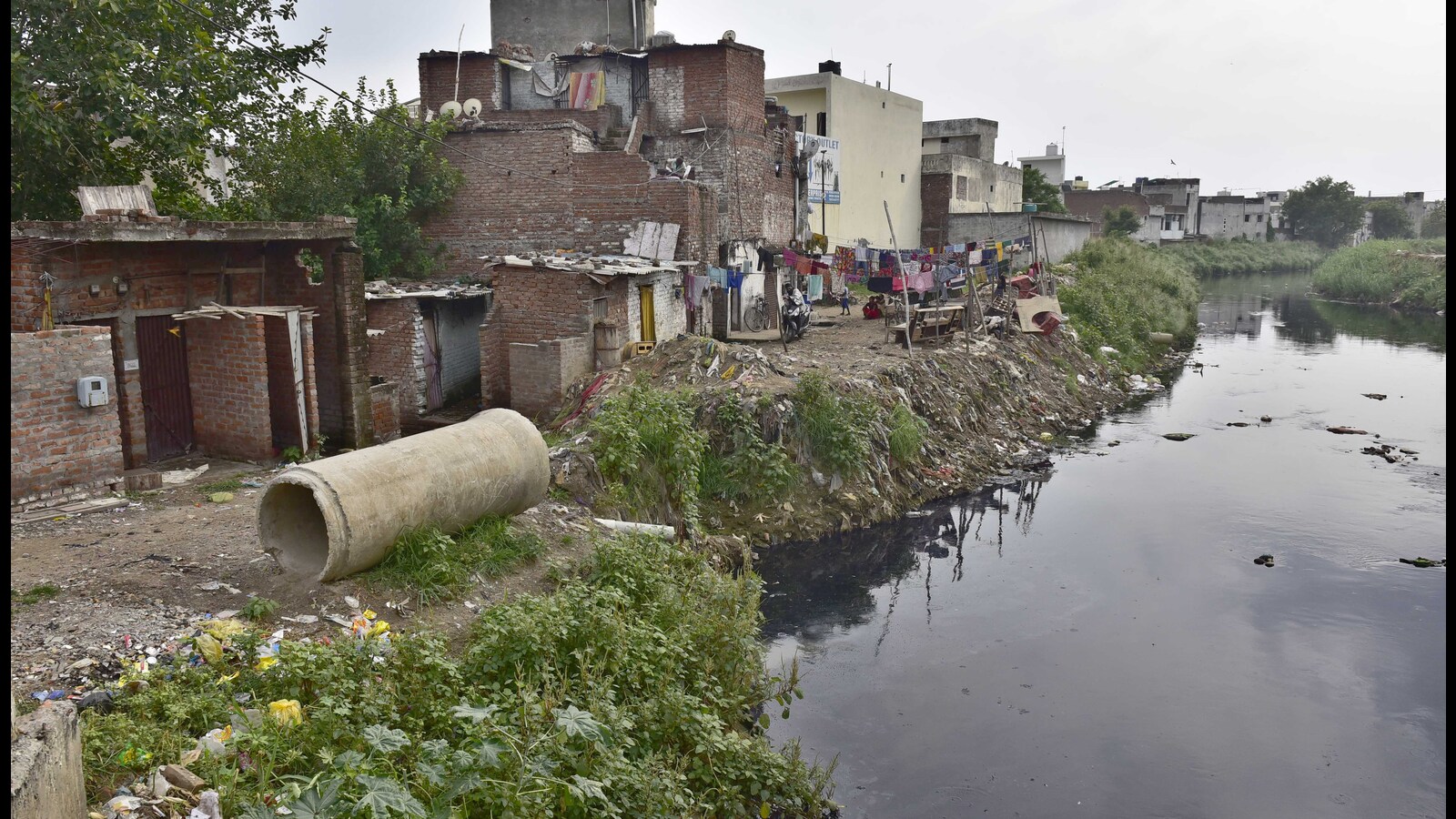 Official data: 700 MT dairy waste being dumped into Ludhiana’s Buddha ...