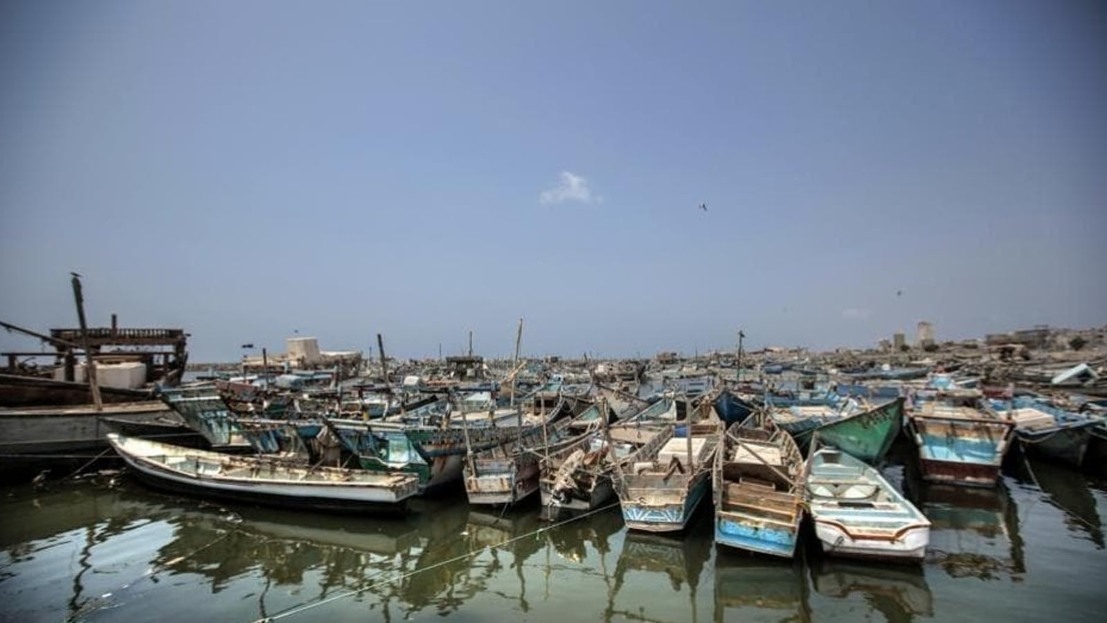 Thousands of sheep drown as Sudan ship sinks | World News