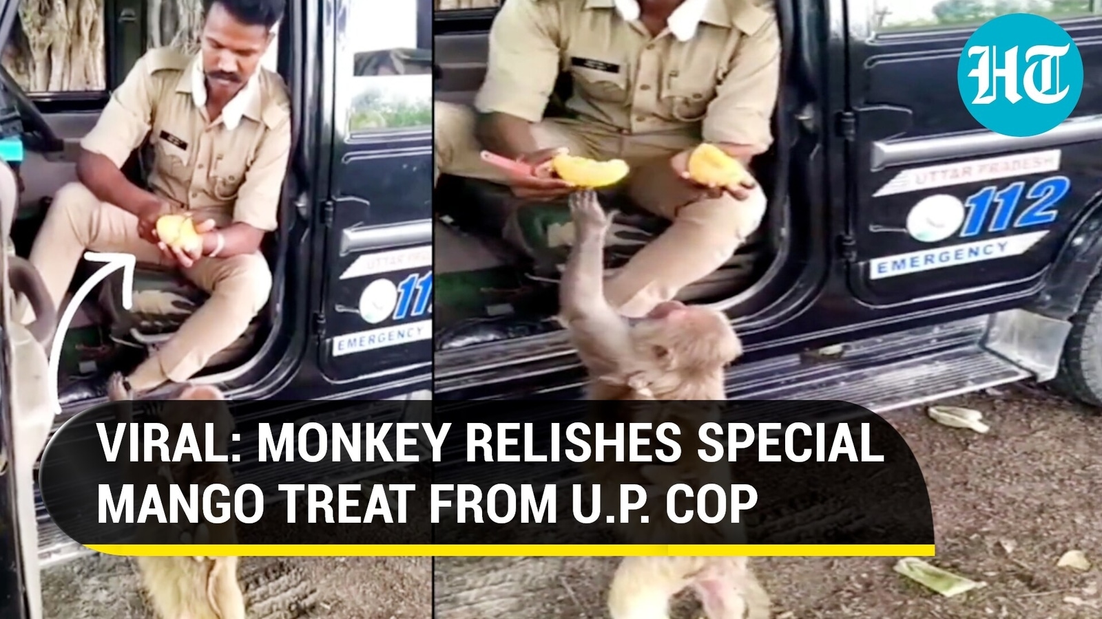 Viral video: UP cop wins hearts for offering mango to monkey in ...