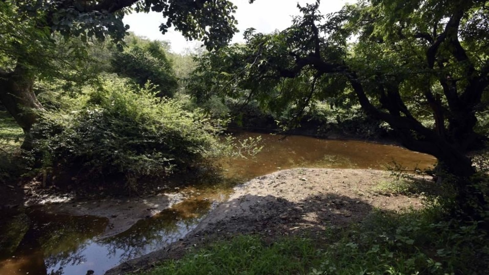 Forest dept to gauge level of groundwater in Delhi’s Asola park ...