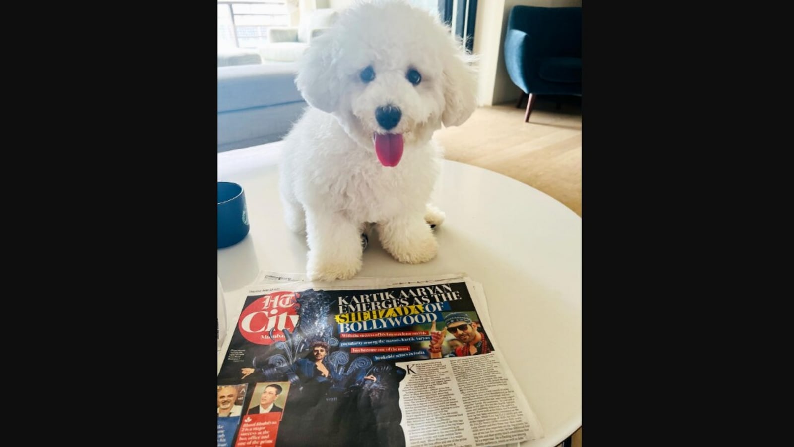 Kartik Aaryan shares pics of his adorable dog Katori, posts sweet ...
