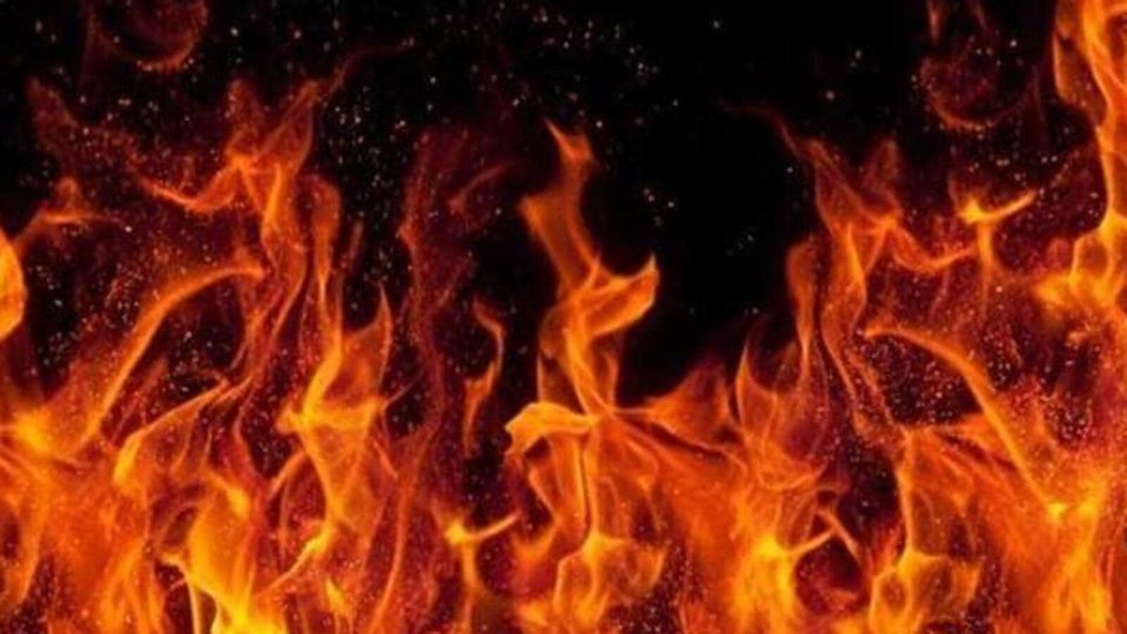 Fire breaks out at plastic factory in North Delhi | Latest News Delhi
