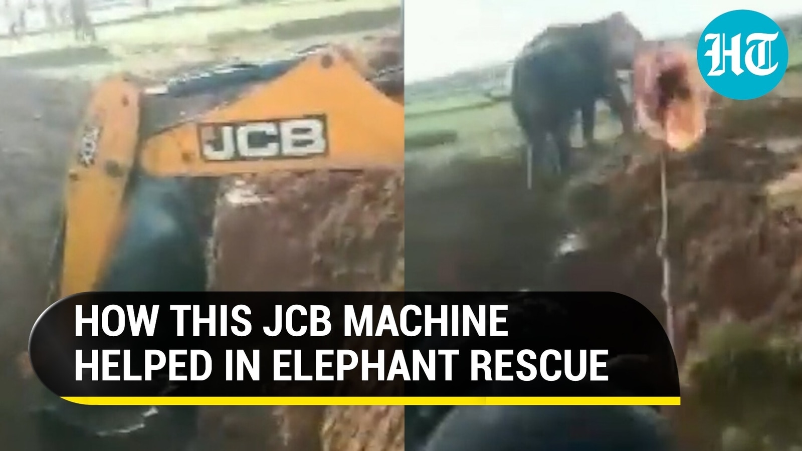 Viral: Netizens hail ‘saviours’ as JCB machine helps rescue Elephant ...