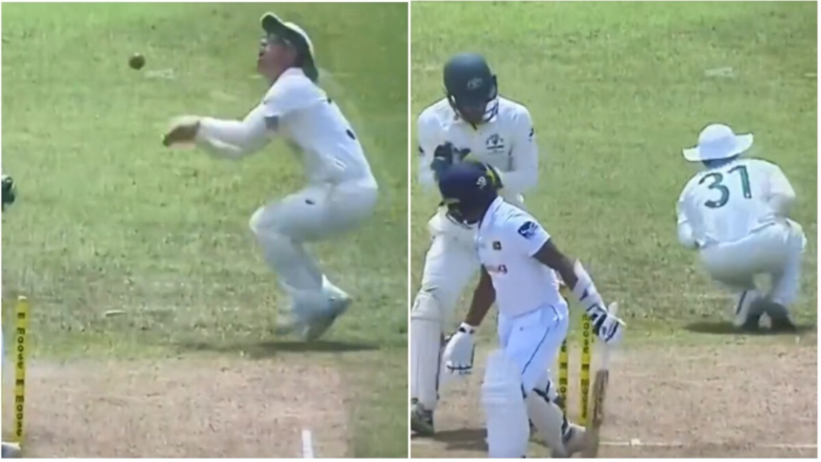 Watch: Flying bail hits Warner on the crotch in bizarre moment during ...