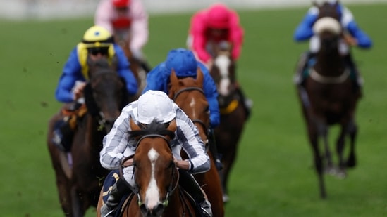 Horse racing industry welcomes move to look into GST issues | Hindustan ...