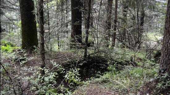 Amid political slugfest over Kotkhai rape-murder case, victim’s father ...