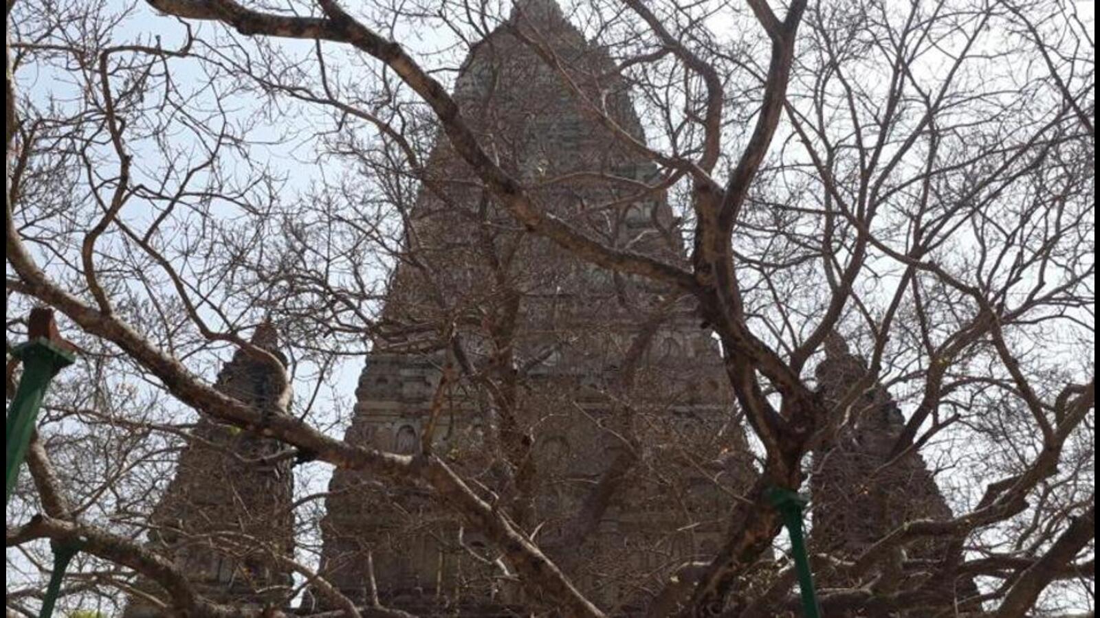 East Champaran reports highest no. of heritage trees in Bihar ...