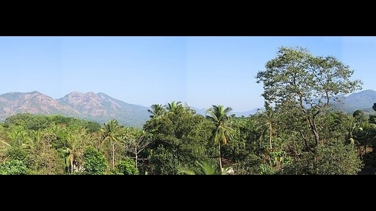 Which trees are our trees?: Shades of green in India | Hindustan Times