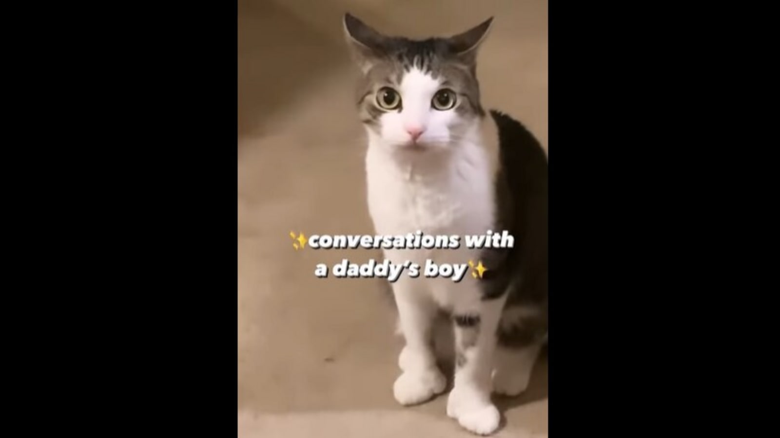 This pet cat is a 'daddy's boy' and just can't wait for him to be home ...
