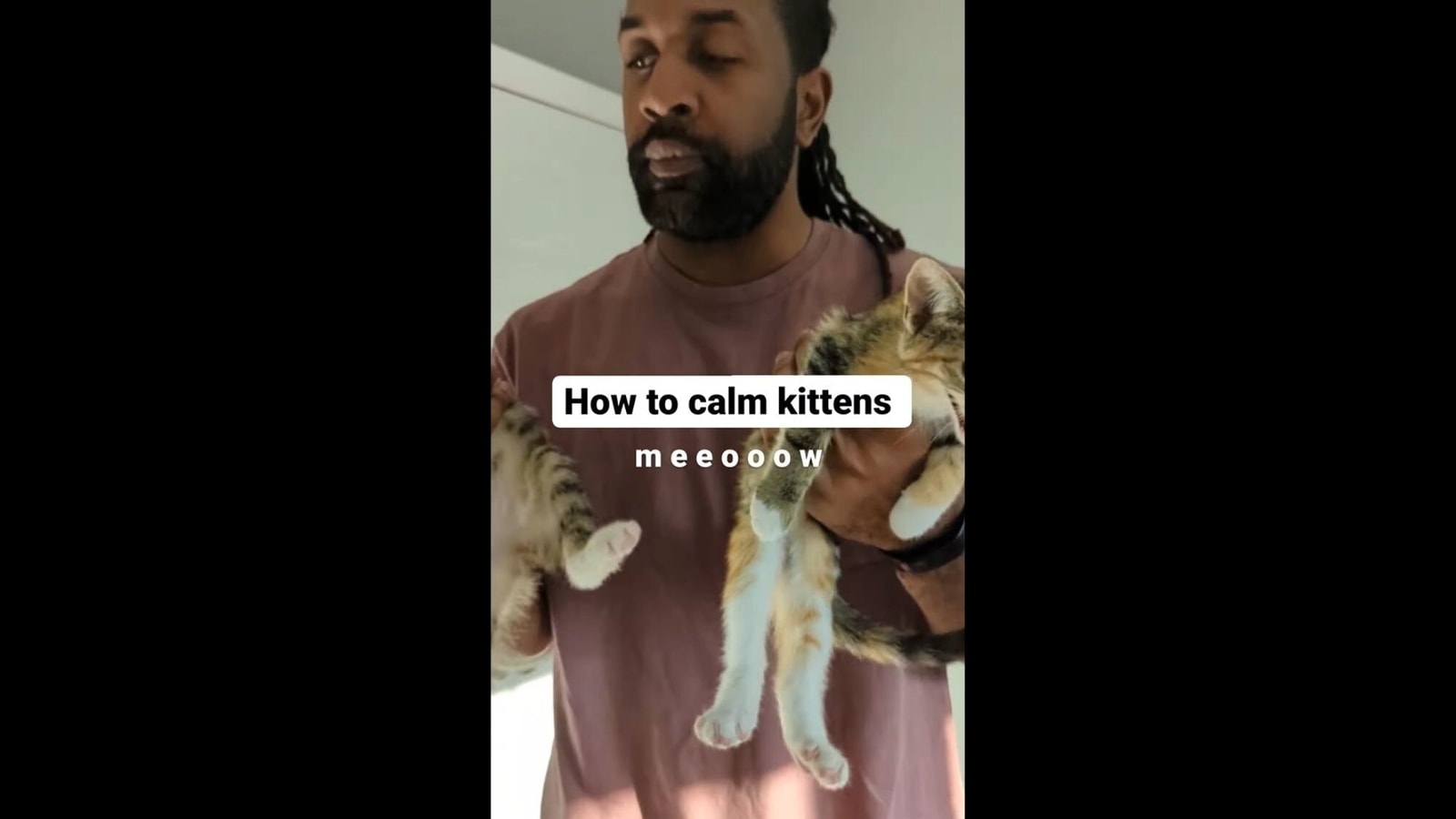 Man calms his kittens 'meows' in an adorably cute way. Watch | Trending ...