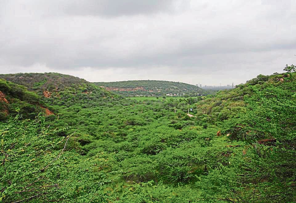 SC extends green protection to forest land in Aravalli ranges | India News