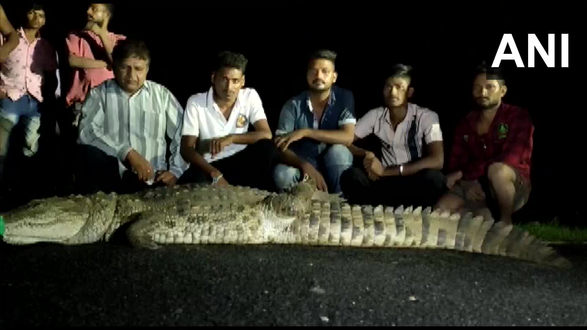 Crocodiles enter residential areas in Vadodara due to heavy rainfall ...