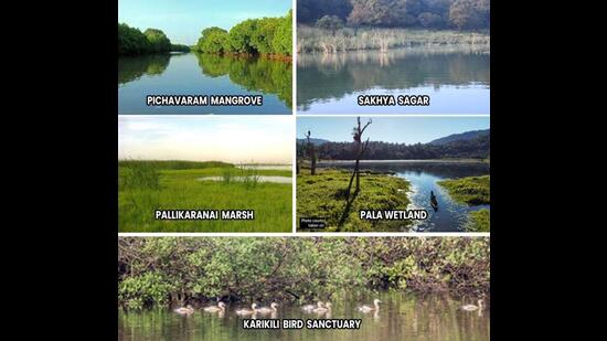 India’s Ramsar sites rise to 54 as 5 wetlands get ‘international ...