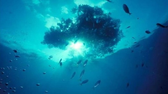 Samudrayaan: India's first mission to send humans 6,000 metres deep in ...