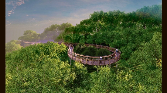 Despite cancellation of several infra projects, work on Malabar tree ...