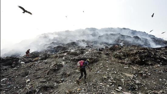 Delhi’s garbage mountains will take 197 years to clear at current pace ...