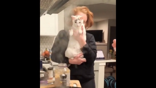 Cat enjoys seeing humans cook, watch how they include her in the ...