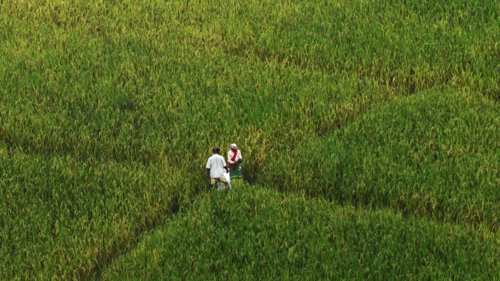 Ludhiana | ICAR-ATARI in collaboration with PAU holds dialogue on ...