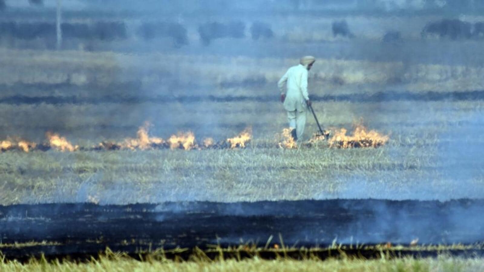 Paddy residue: 10 Ludhiana villages take pledge against stubble burning ...