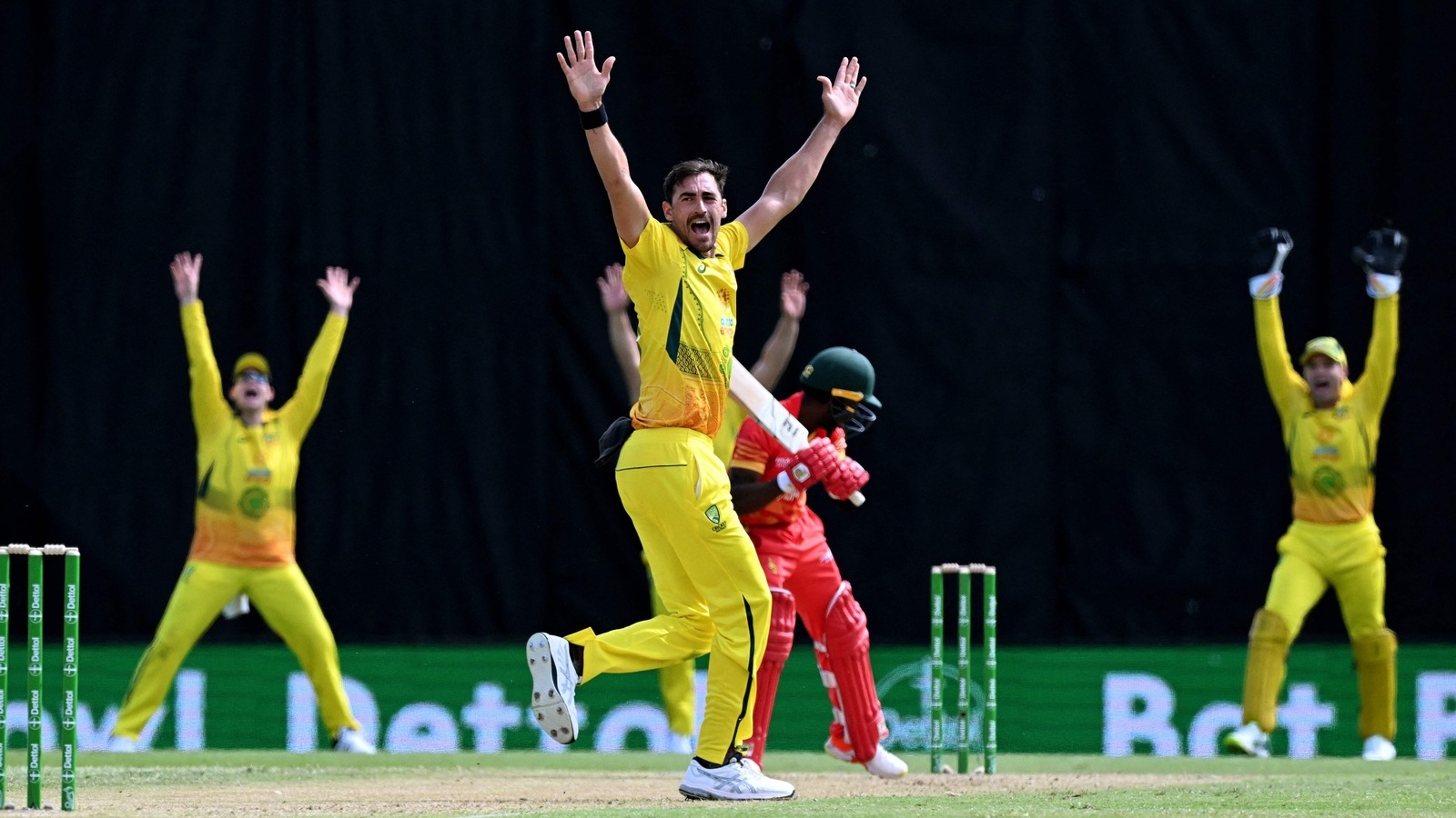 Australia vs Zimbabwe: Mitchell Starc, Adam Zampa help AUS cruise past ...