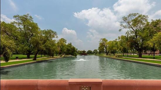 Old jamun trees preserved; over 4,000 trees now under revamped Central ...