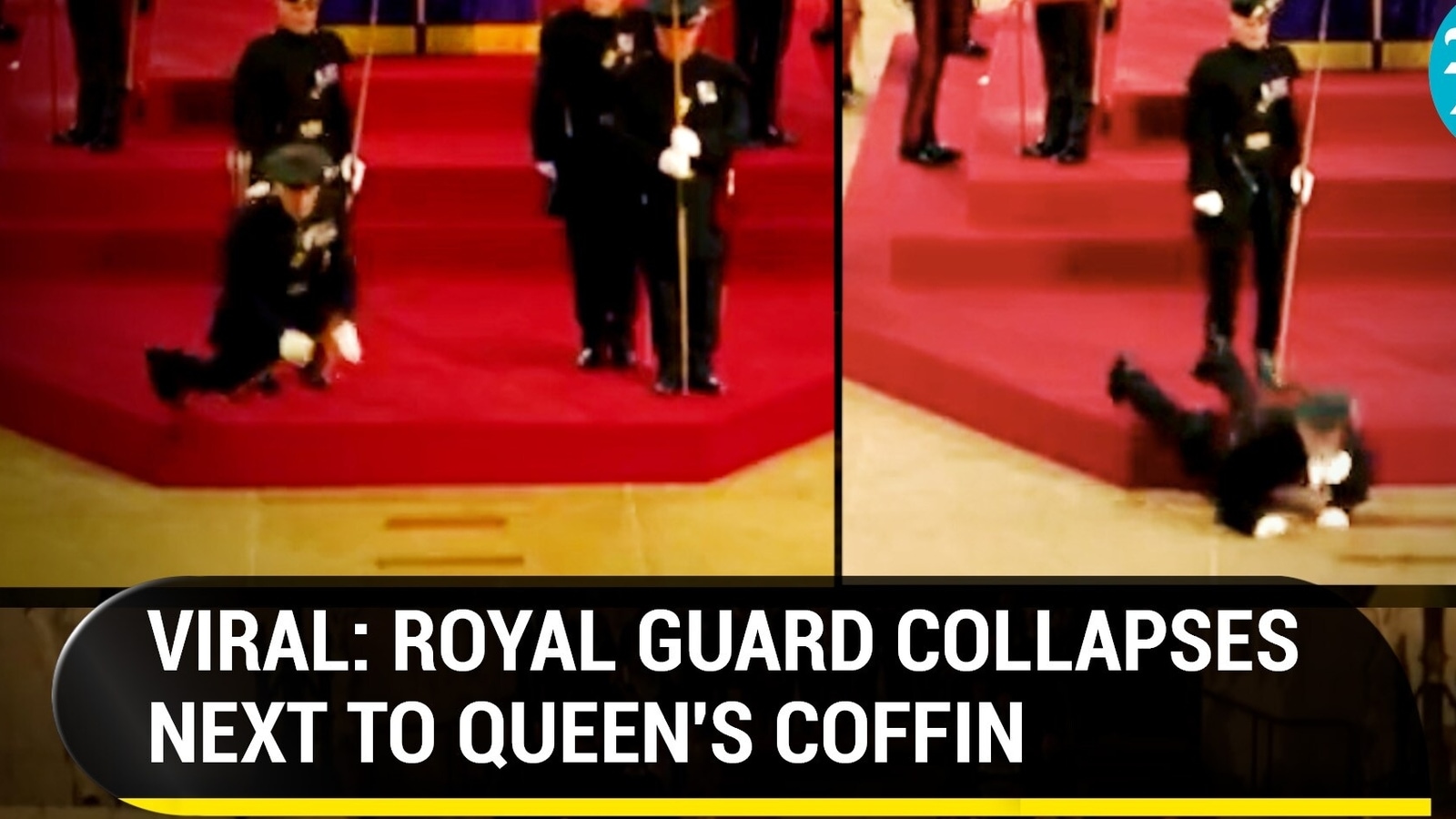 Royal guard collapses as Queen lies in state; Live telecast halted ...