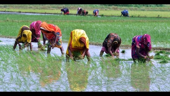 Demand for urea dips as farmers turn to organic farming in Prayagraj ...
