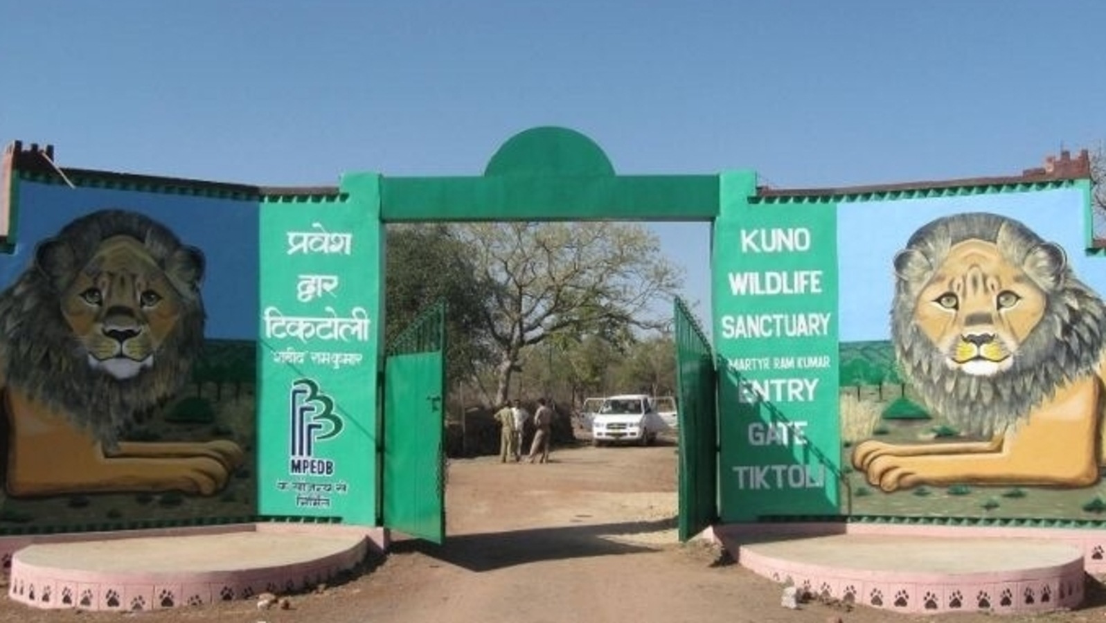 Tourism Set To Get Boost Post Arrival Of Cheetahs In MP s Kuno National Tourism Set To Get Boost Post Arrival Of Cheetahs In MP s Kuno National