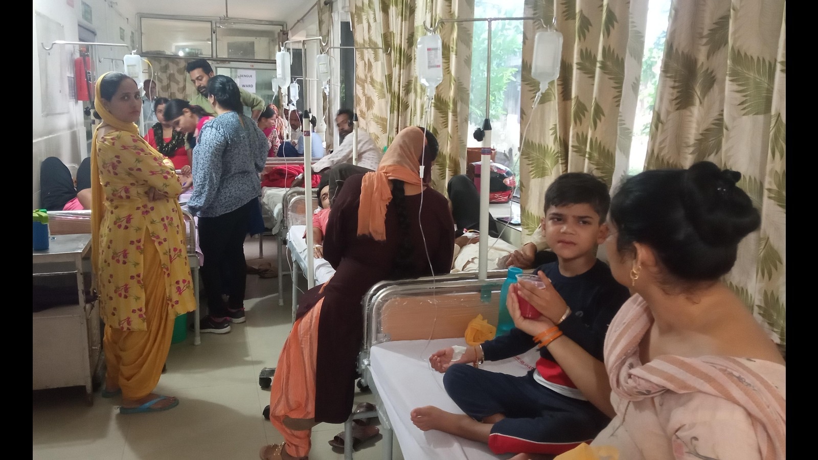 ‘Mystery’ fever in Panchkula: Dengue not likely cause behind deaths ...