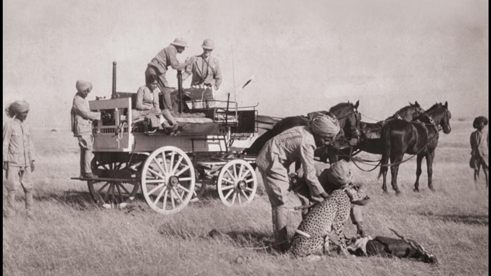 How Kolhapur princely state got African cheetahs in early 1900s ...