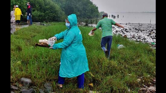 Residents join hands to clean Thane creeks to mark International ...
