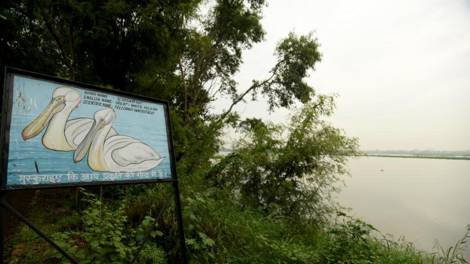 Okhla bird sanctuary gets ready to greet its winged winter visitors ...