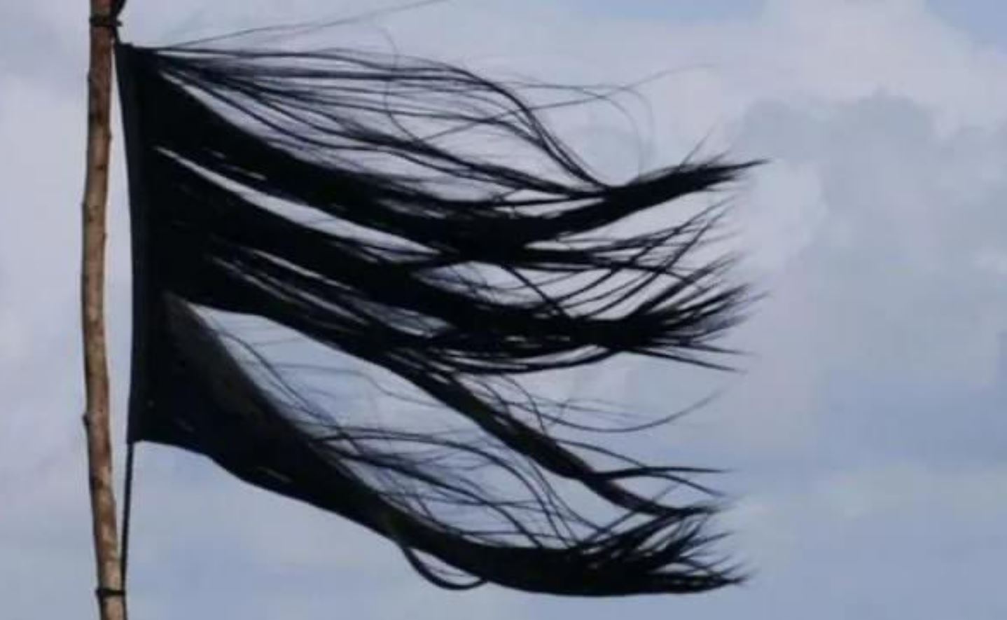 ‘Photograph of century’: Leena Manimekalai shares pic of chopped hair ...