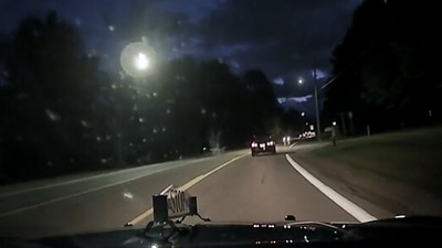 Deer leaps over car while crossing road at night. Watch incredible ...
