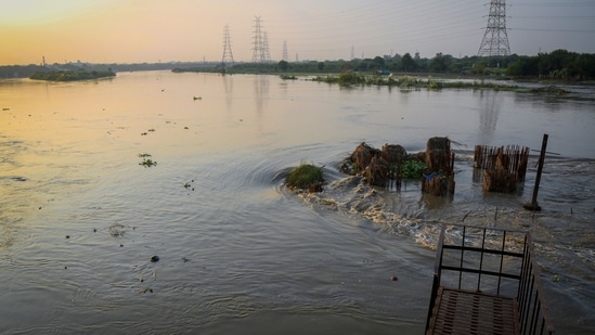 Yamuna flowing above warning mark in Delhi, water flow at Hathnikund barrage rises to danger ...
