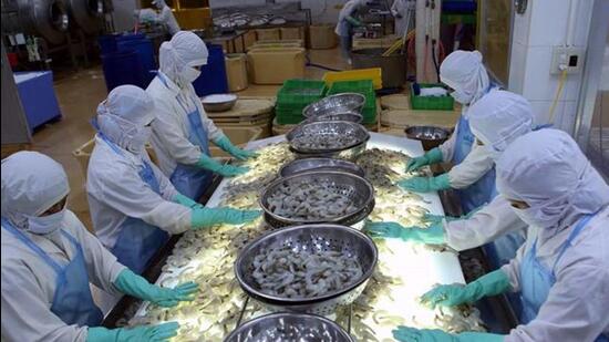 28 fall ill after ammonia leak in prawn processing plant run by BJD ...