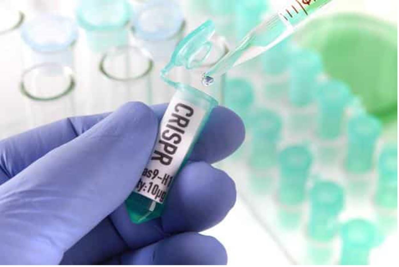 Tech Talk: Crispr and Whisper