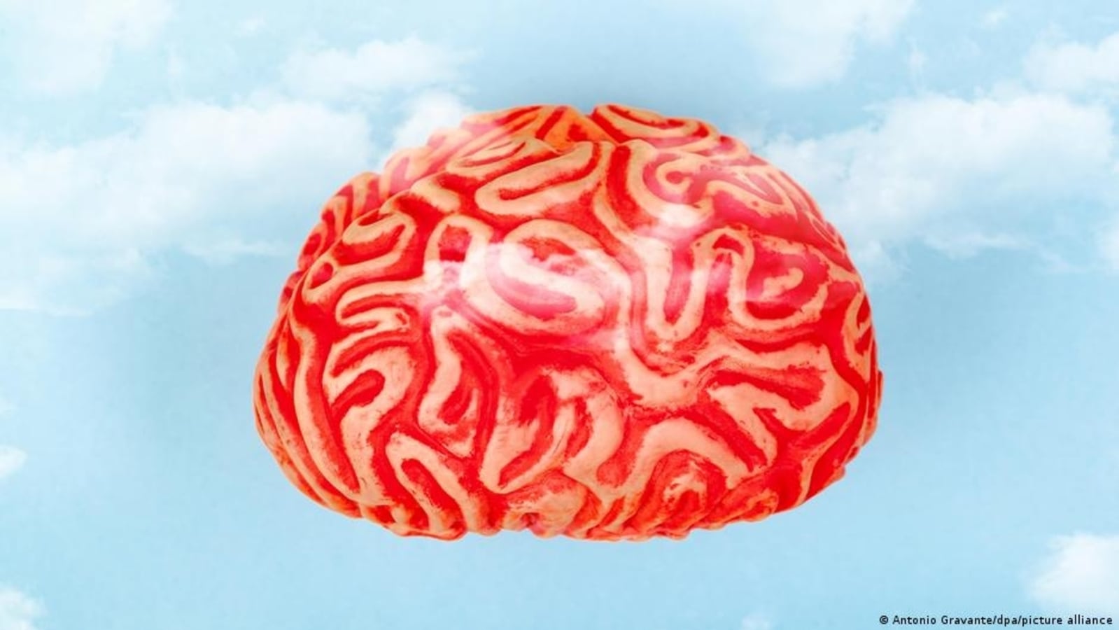 What happens in brain when it becomes too hot? | Health