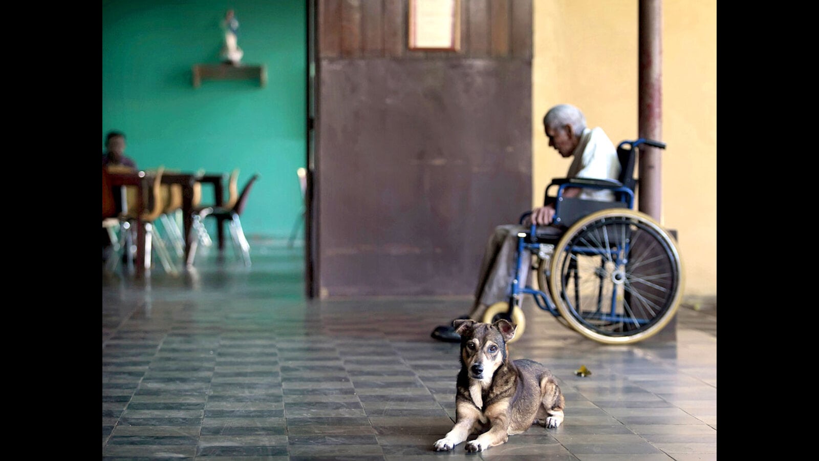 International Day for Older People: Why caregiving training is more ...