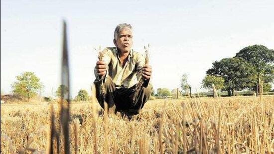Odisha: 33%crop insurance claims pending under PMFBY| India News