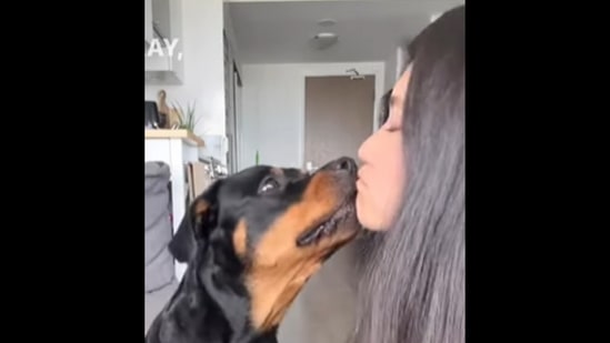 Woman tells her name to cute pet dog for the first time, watch how it ...