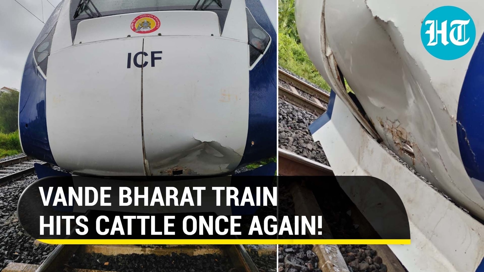 Vande Bharat train collides with cow now; Suffers 'minor' damage again ...
