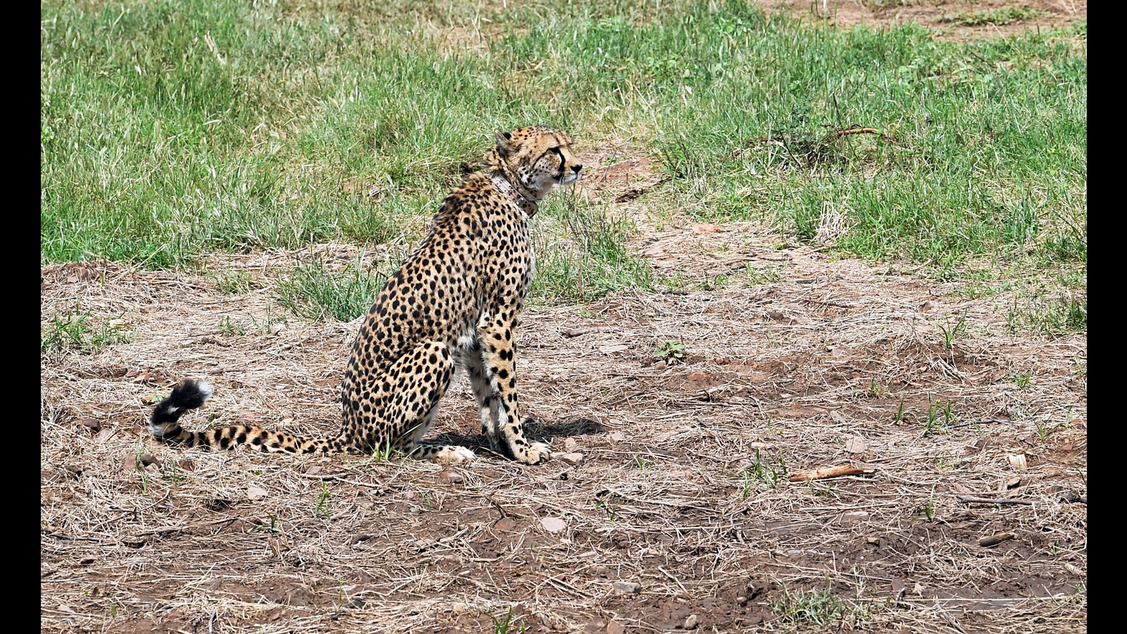 Creating an equitable conservation model | Hindustan Times