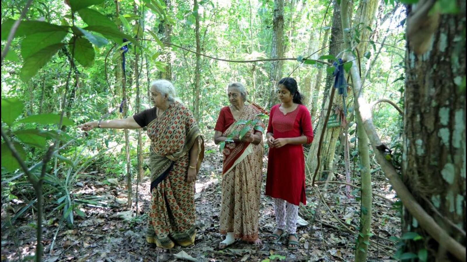 Alappuzha: Three generations of family help develop, preserve forest ...