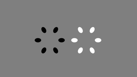 Optical illusion: Which ring appears to rotate faster - left or right ...