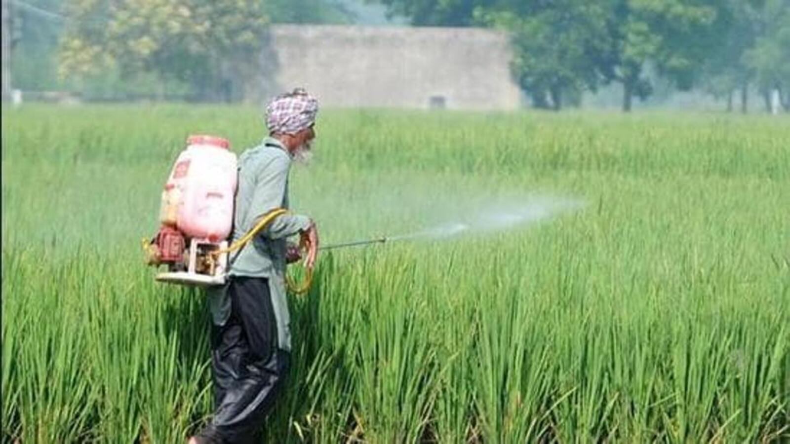 Haryana Urges Centre To Ensure Adequate DAP Supply Hindustan Times