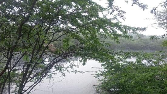 Environmentalists allege toxic leachate from Bandhwari WTE plant ...