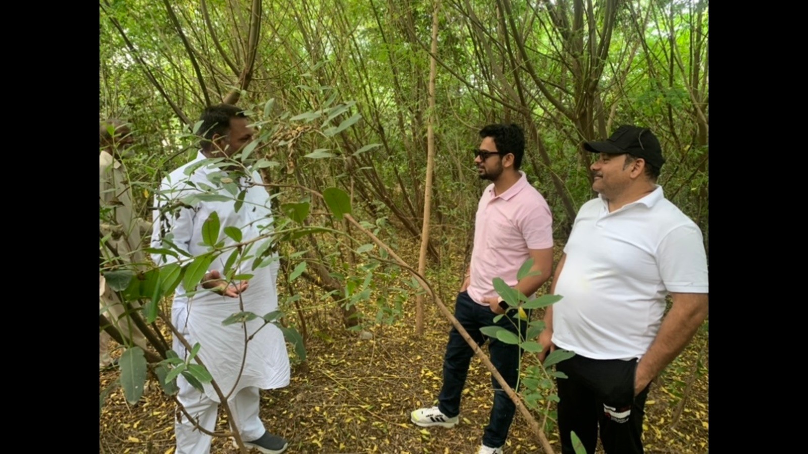 Go-green Miyawaki way: IAS officer spearheads initiative to boost ...