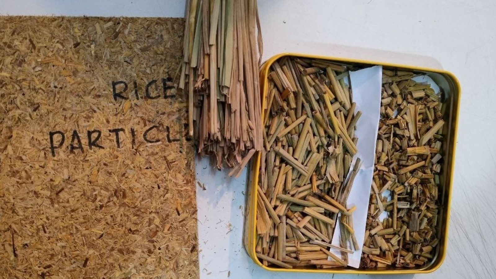 IIT Ropar researchers claim their technique could solve stubble burning ...