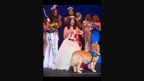 US girl wins Miss Dallas Teen pageant with her service dog by her side ...